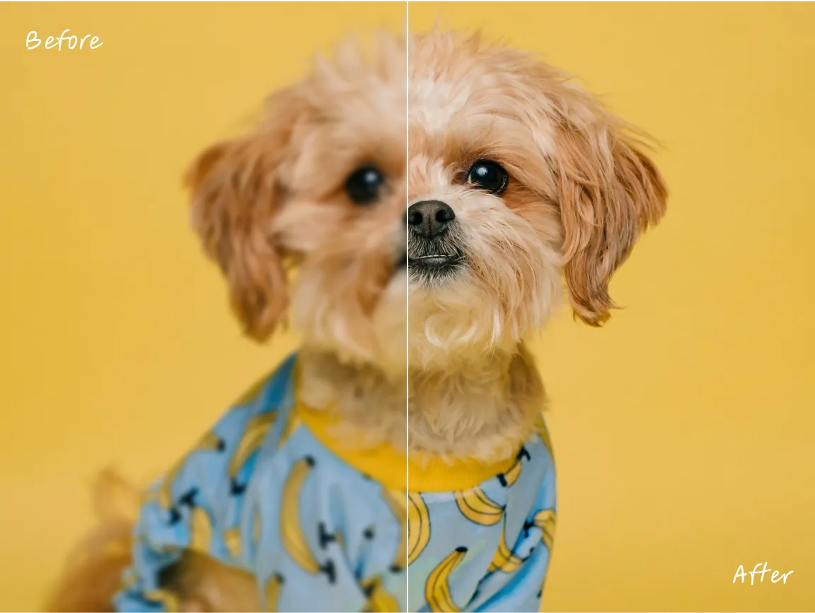 Enhance Image Clarity | Sharpen Photos and Improve Resolution